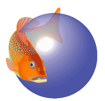 Fishbase for Africa | fishbase.africamuseum.be